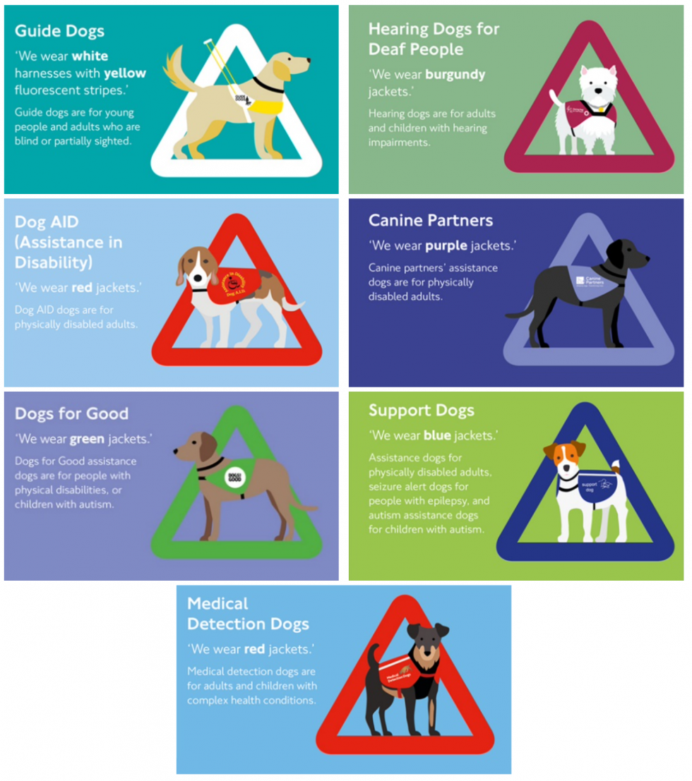 Section 8: Being Aware of Equality and Disability | SERU PHV Drivers ...